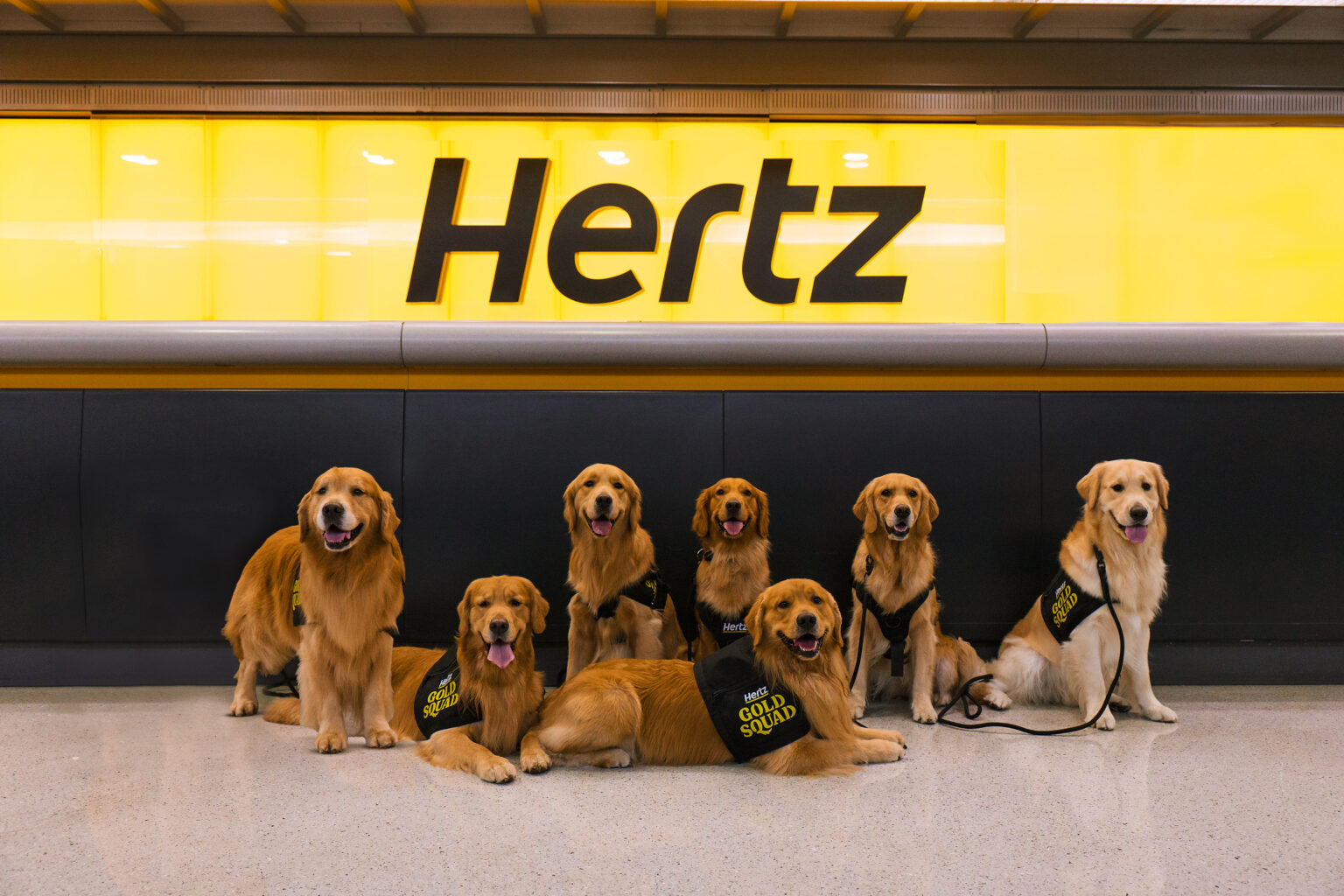 Hertz News & Stories | Latest Company News & Press Releases