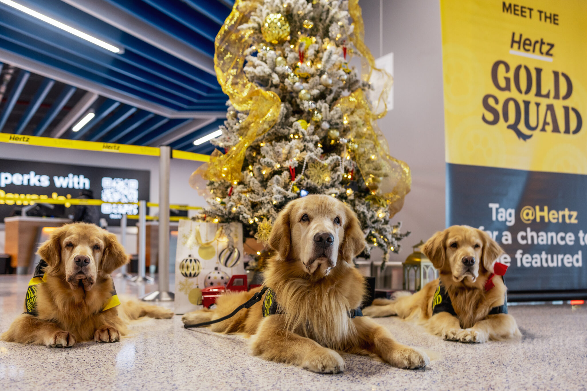 Hertz News & Stories | Latest Company News & Press Releases